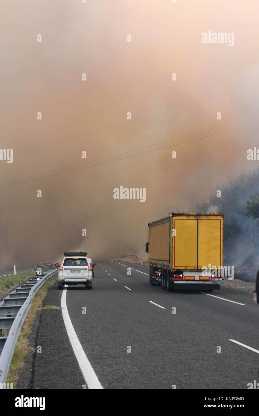 Forest fire on the road Stock Photo - Alamy