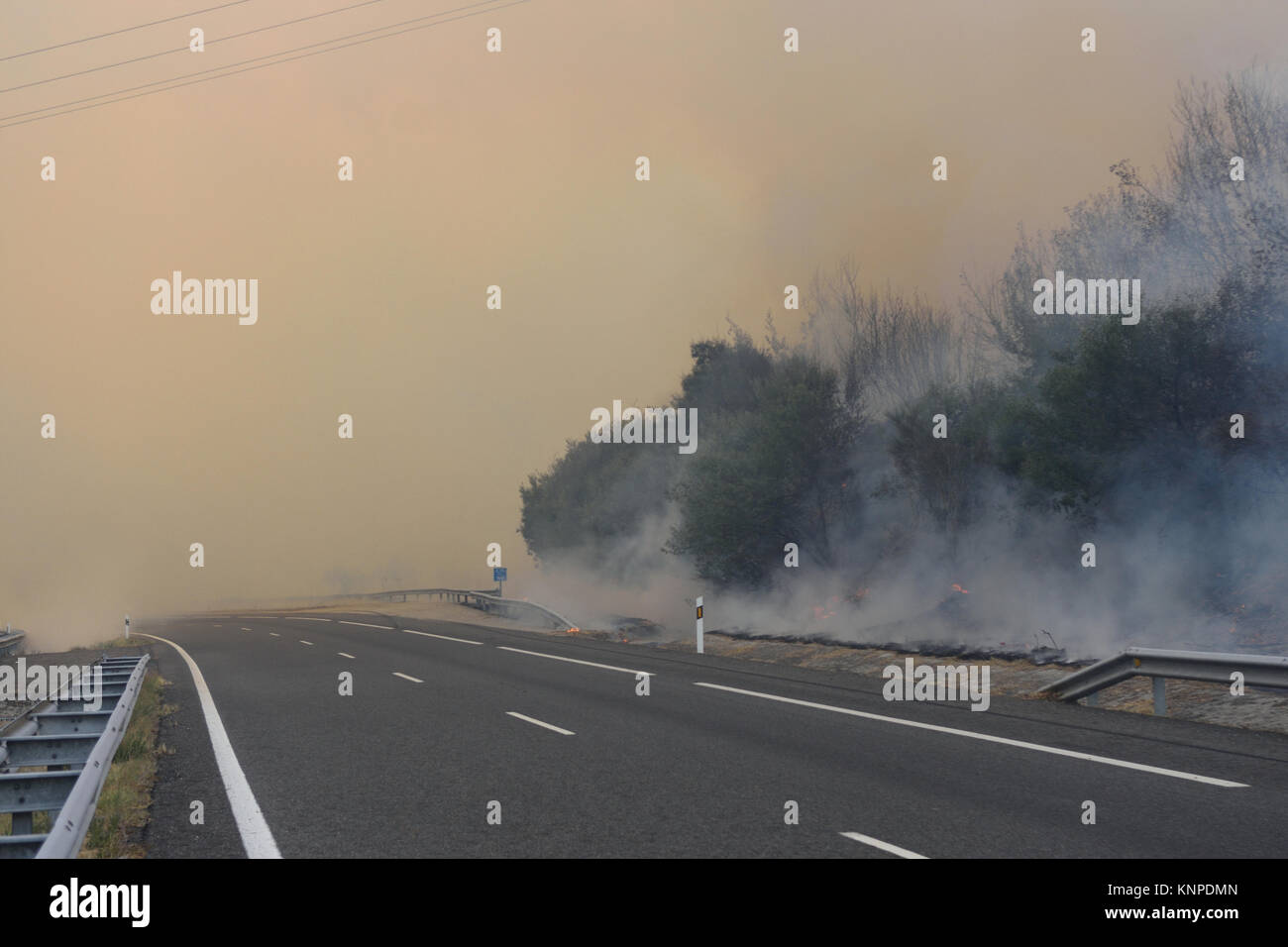 Forest fire on the road Stock Photo - Alamy