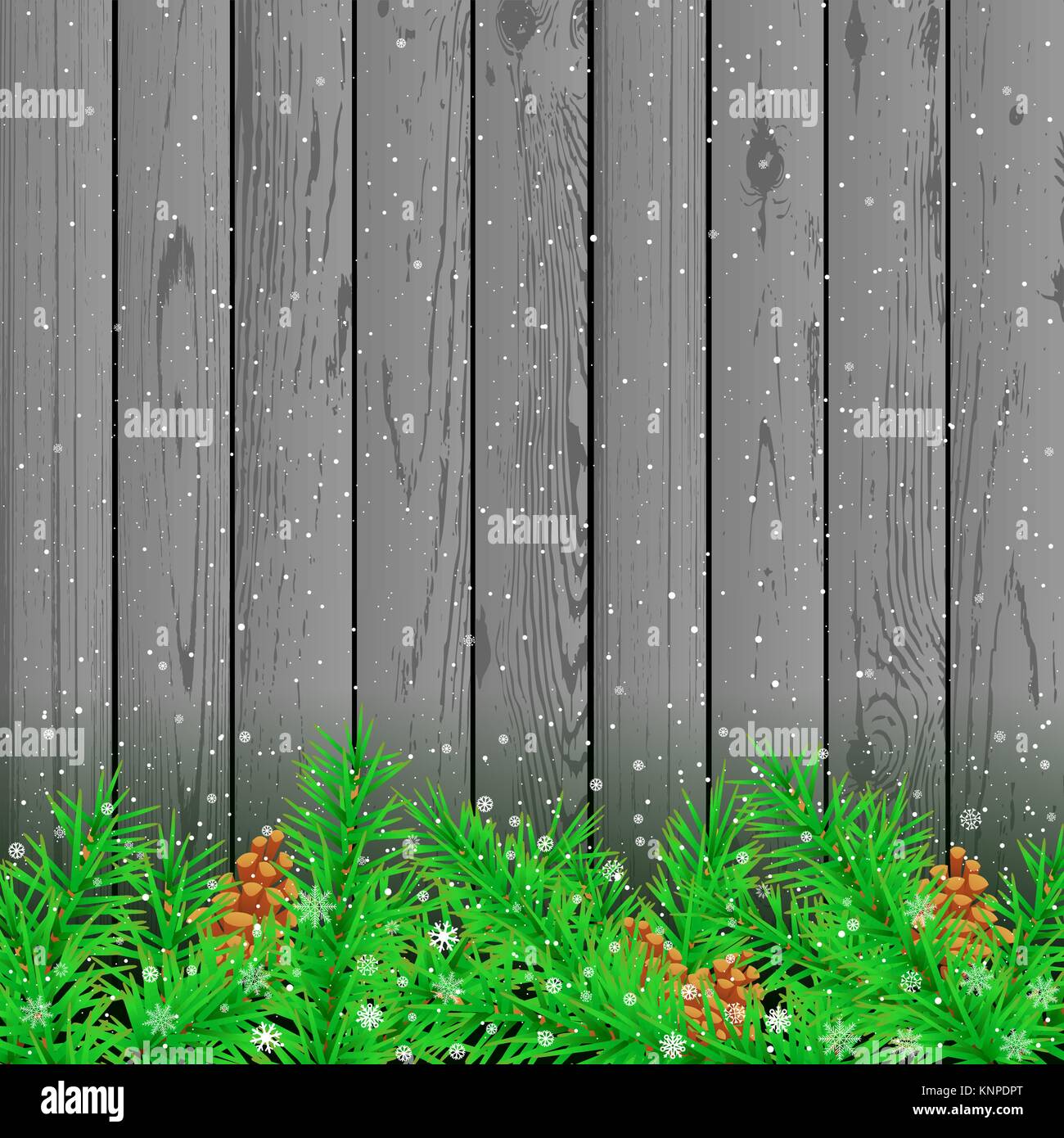 Spruce wood plank board Stock Vector Images - Alamy