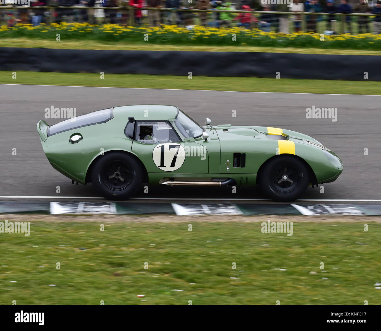 James Cottingham, Shelby American Cobra, Daytona Coupe, winner, Graham ...