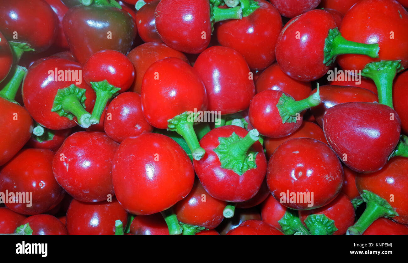 Red hot pepper Stock Photo - Alamy