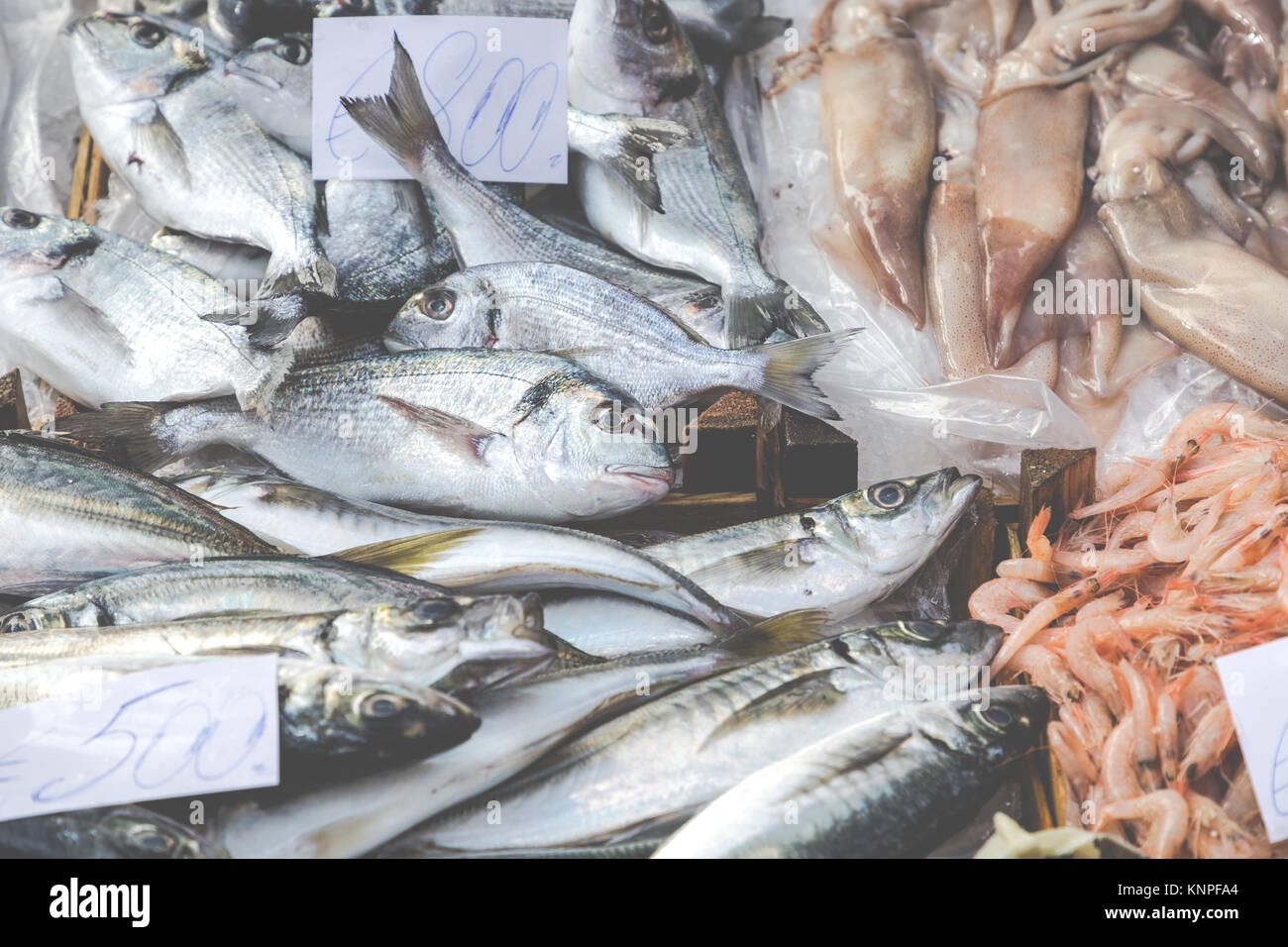 Colorful choice of fish at a market in Palermo, Sicily, Italy Stock ...