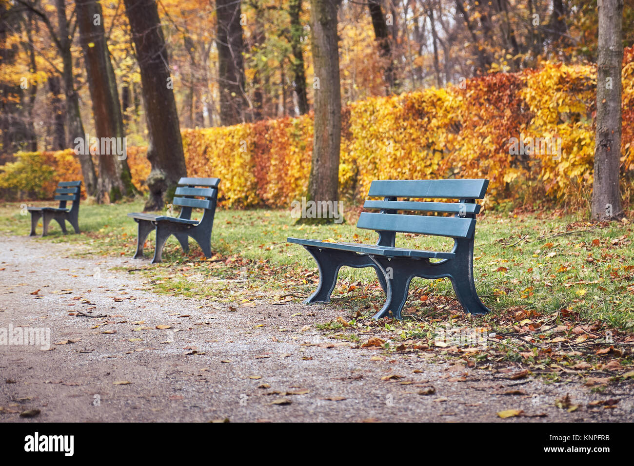 Public park benches pathway garden hi-res stock photography and images ...