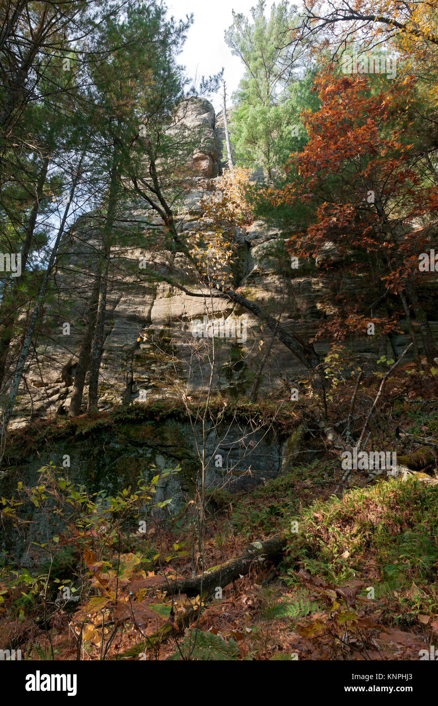 rock formations and forest during autumn at petenwell bluff in juneau ...