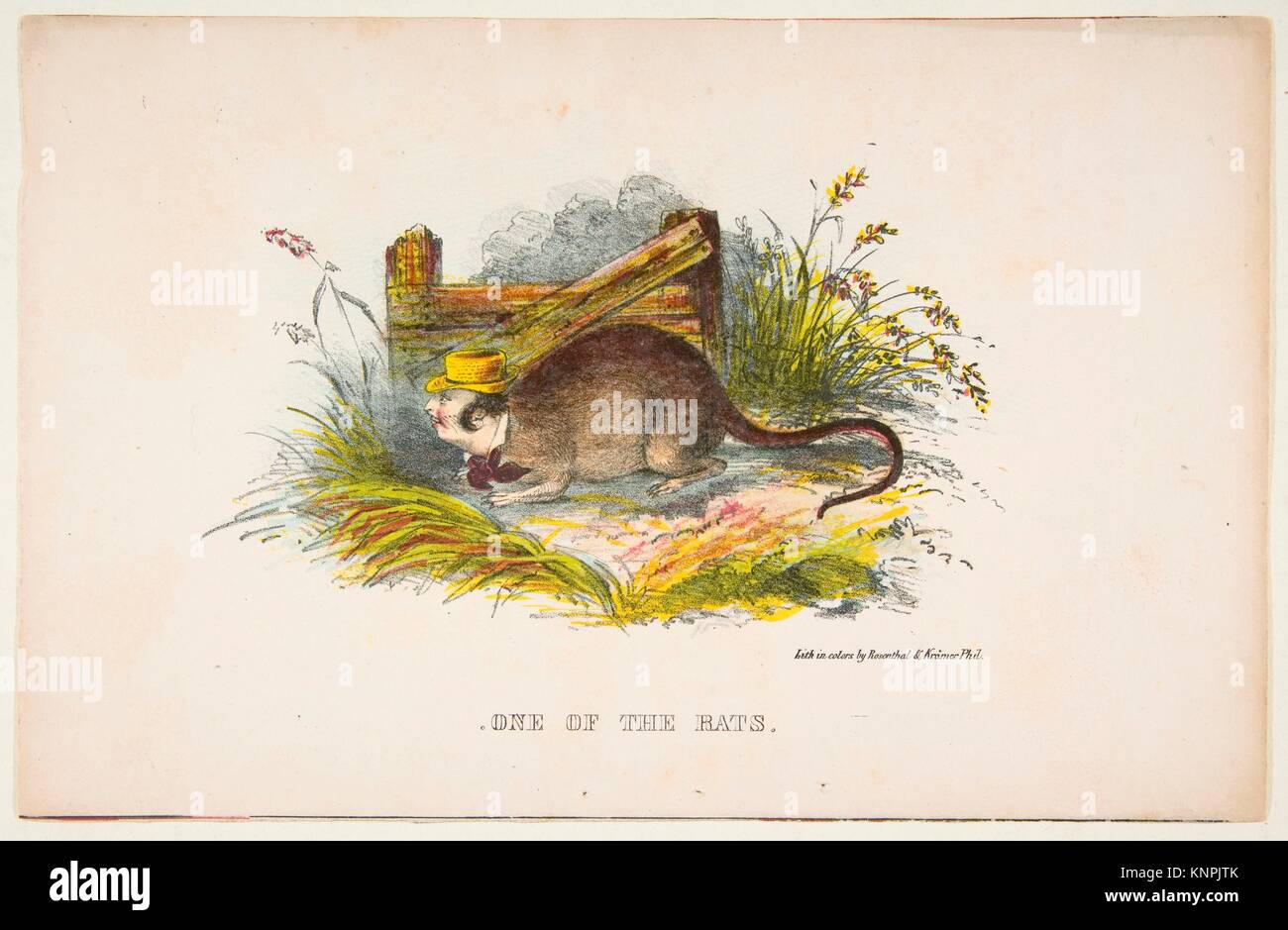 Human rat race hi-res stock photography and images - Alamy