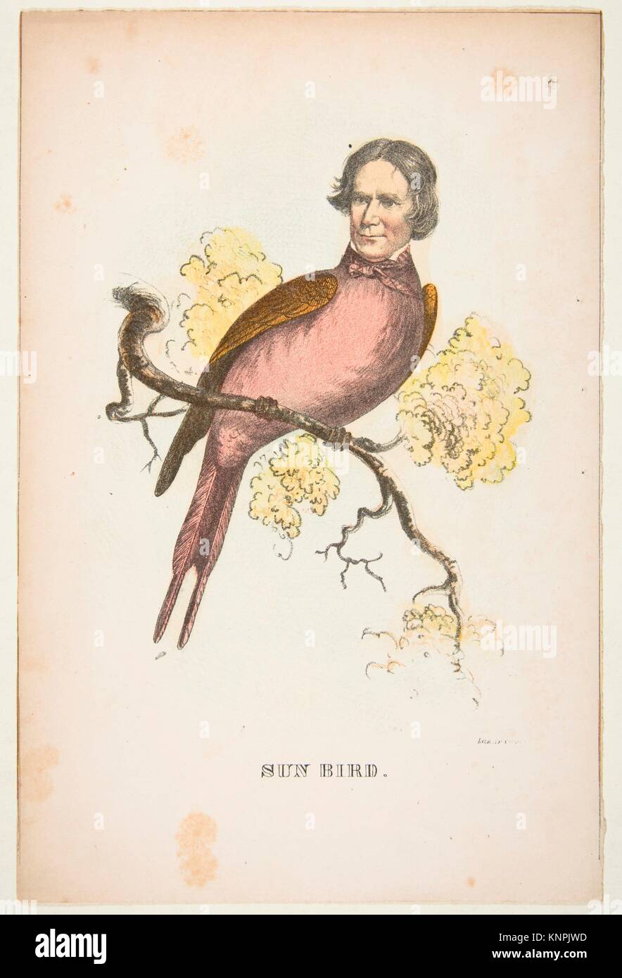 Henry bird artist hi-res stock photography and images - Alamy