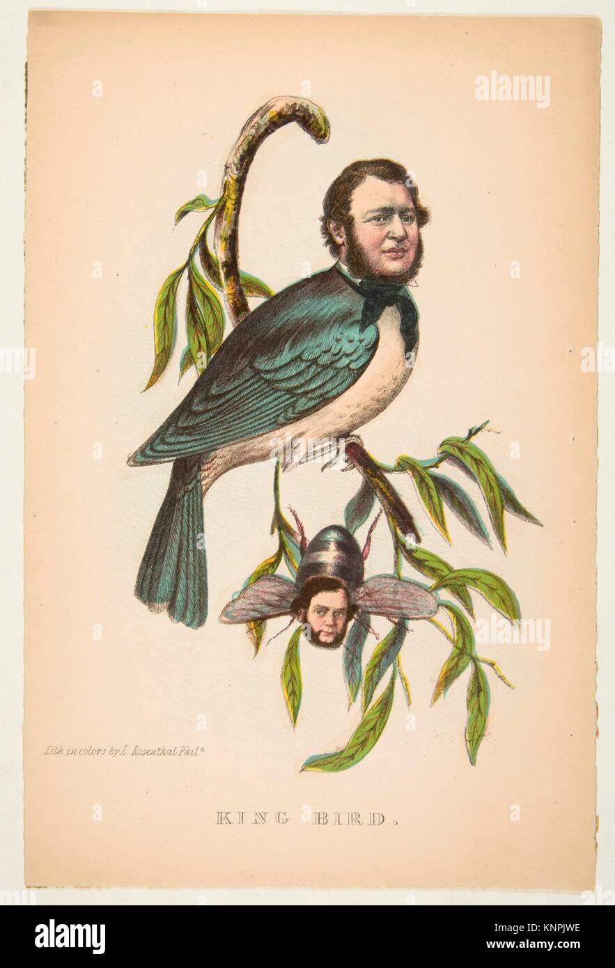 Robert baird hi-res stock photography and images - Alamy