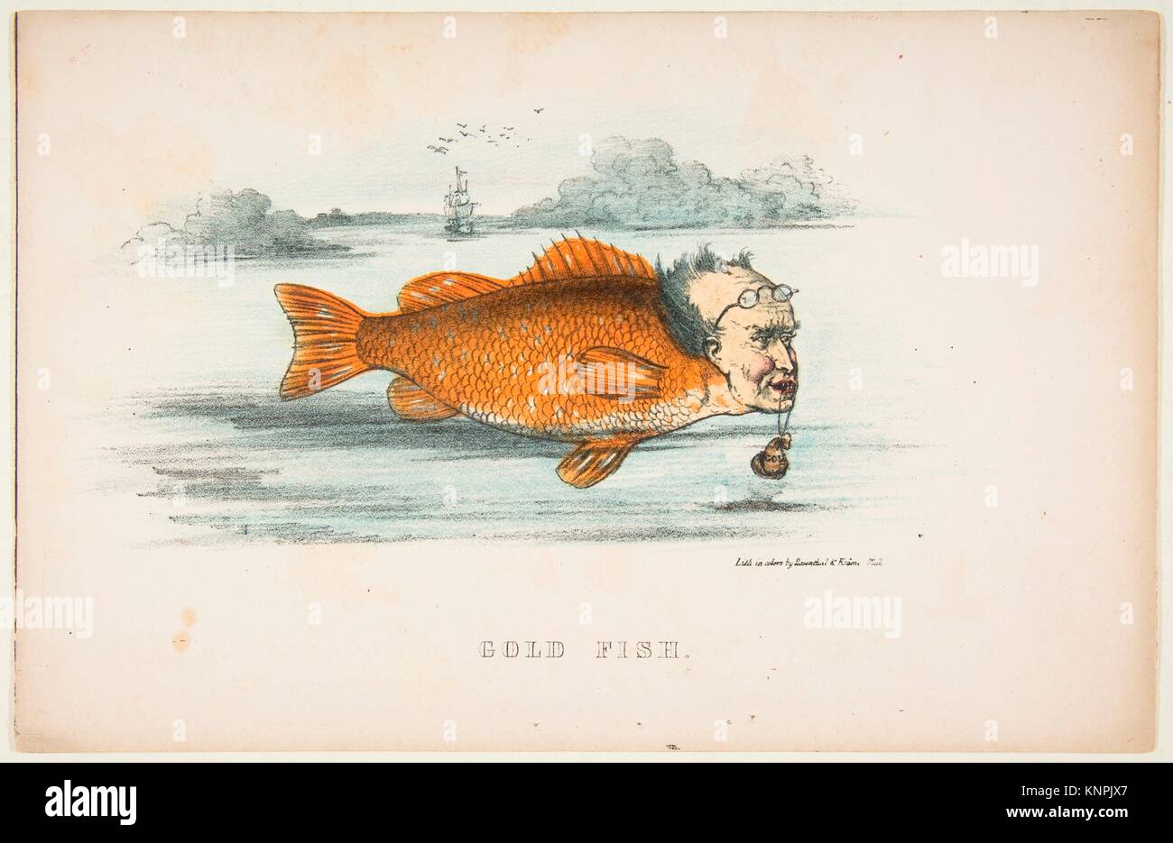 Henry the fish hi-res stock photography and images - Alamy