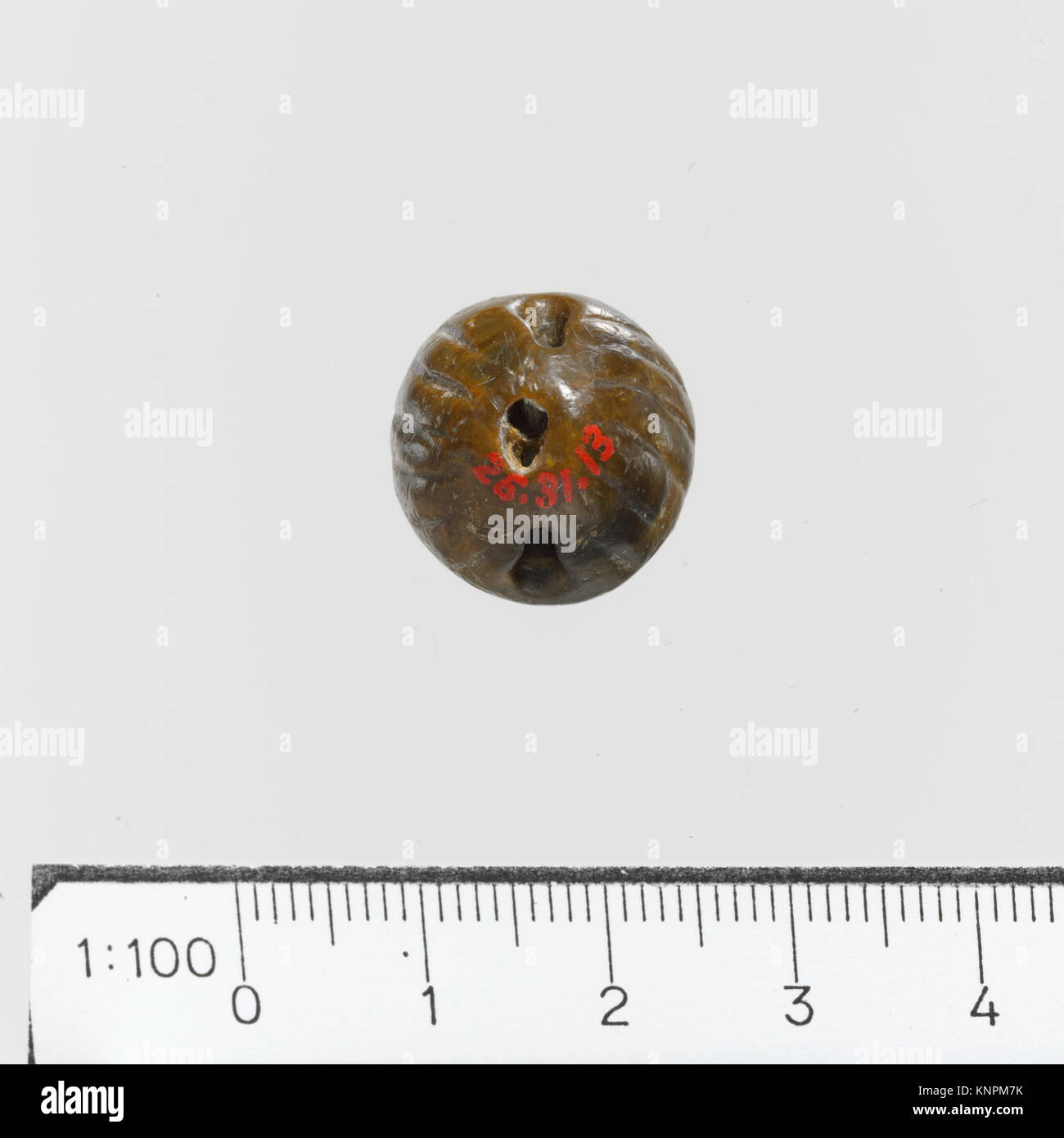 31 4 16 9 cm hi-res stock photography and images - Alamy