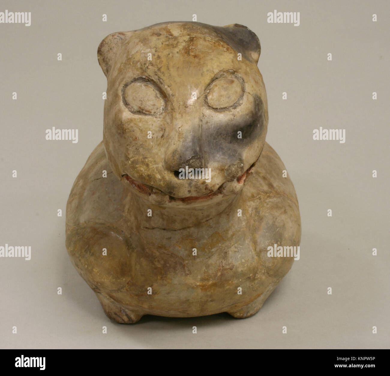 89 cat hi-res stock photography and images - Alamy