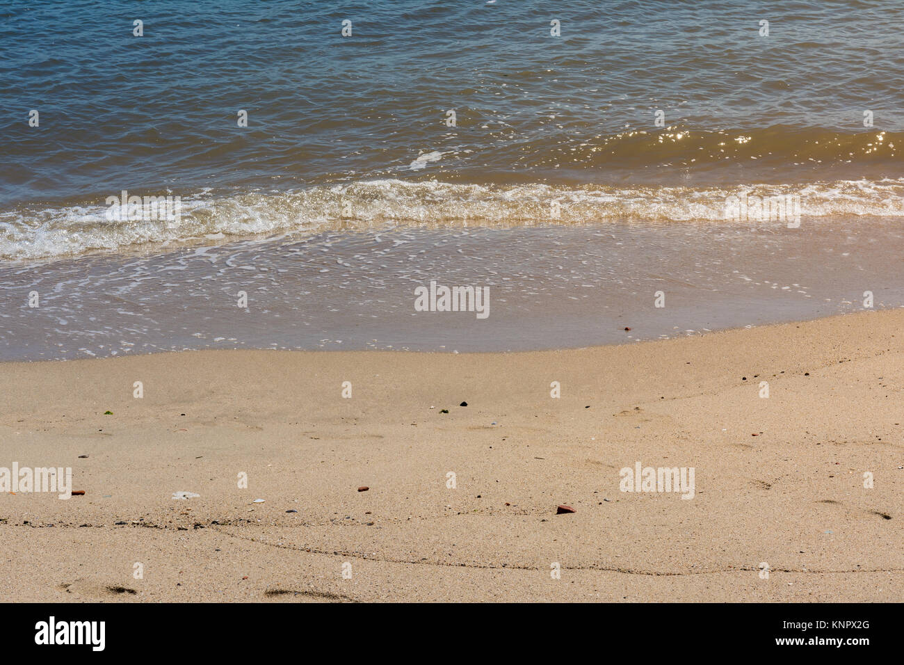 Shoreline Tide Water Moving in Beach Summer Vacation Detail Stock Photo ...