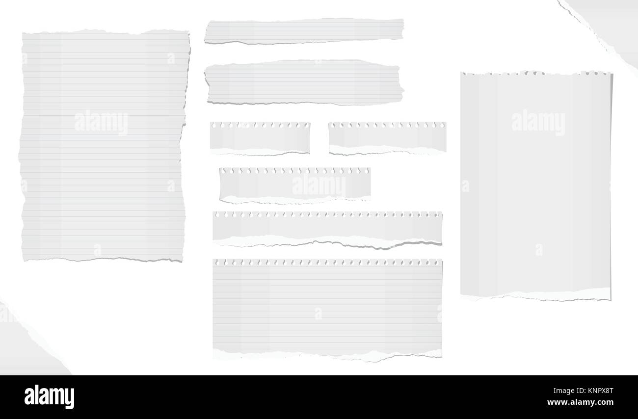 Ripped lined and blank note, notebook paper strips, sheets for text or ...