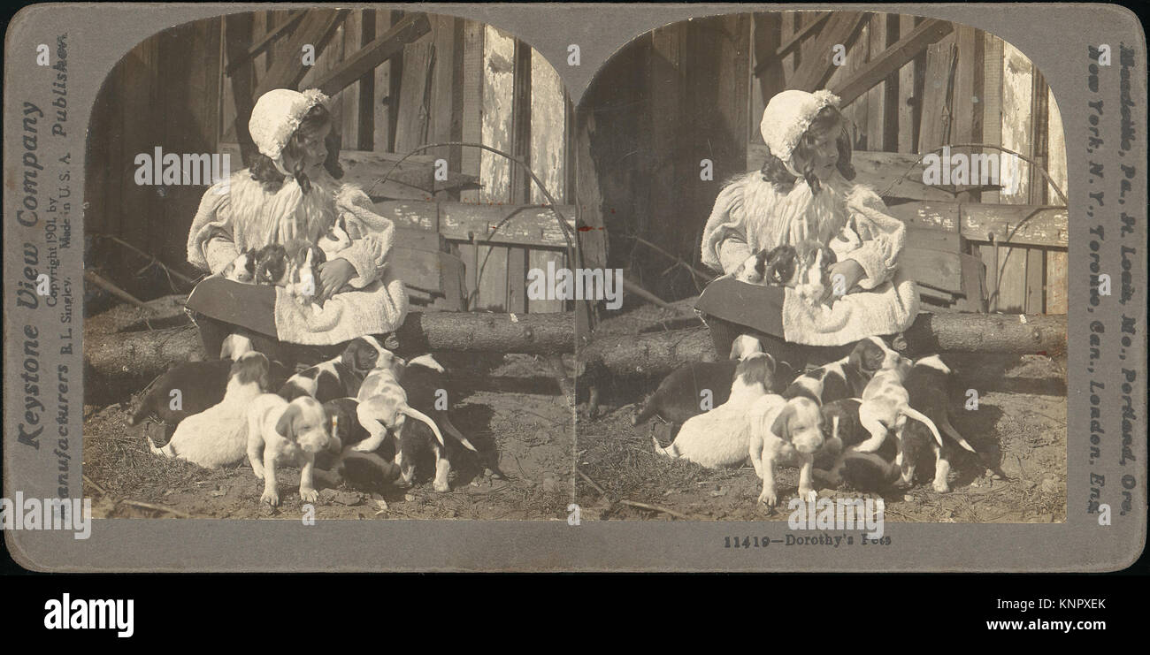 31 stereograph hi-res stock photography and images - Alamy