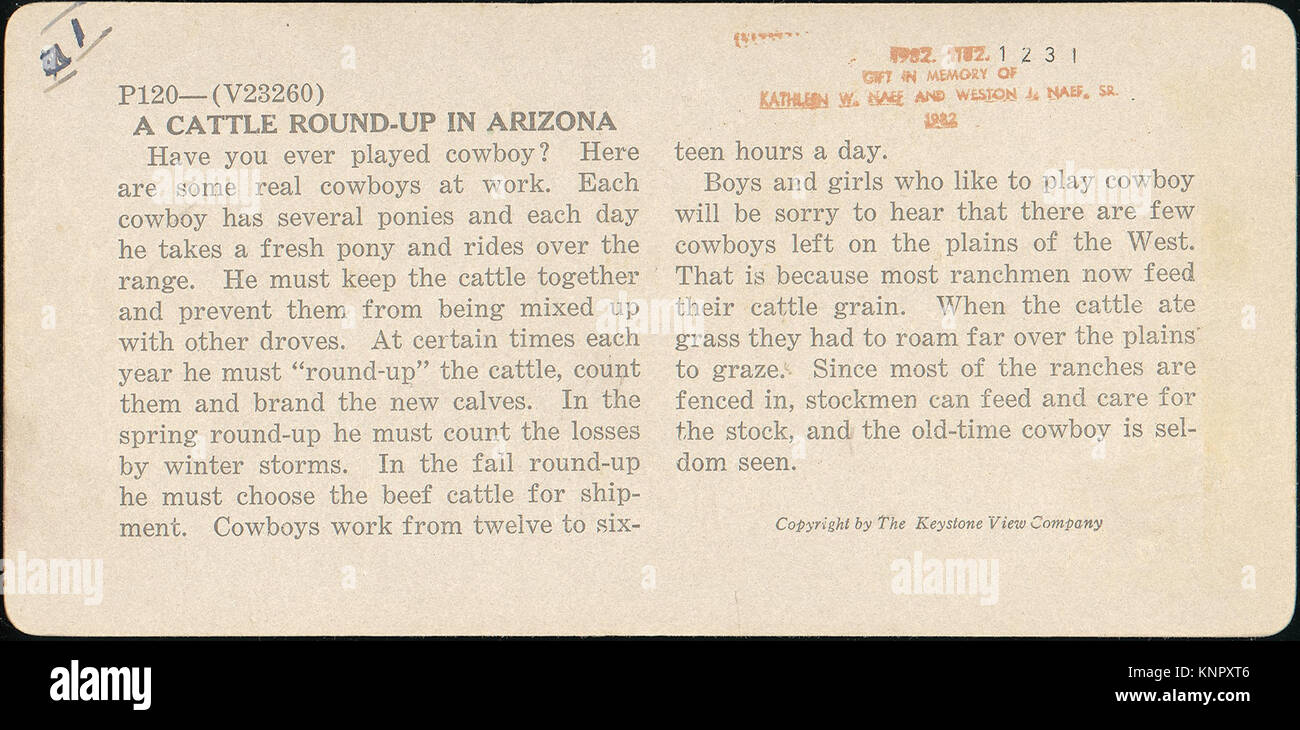 -Group of 11 Stereograph Views of Cowboys- MET DP73880 288308 Stock ...