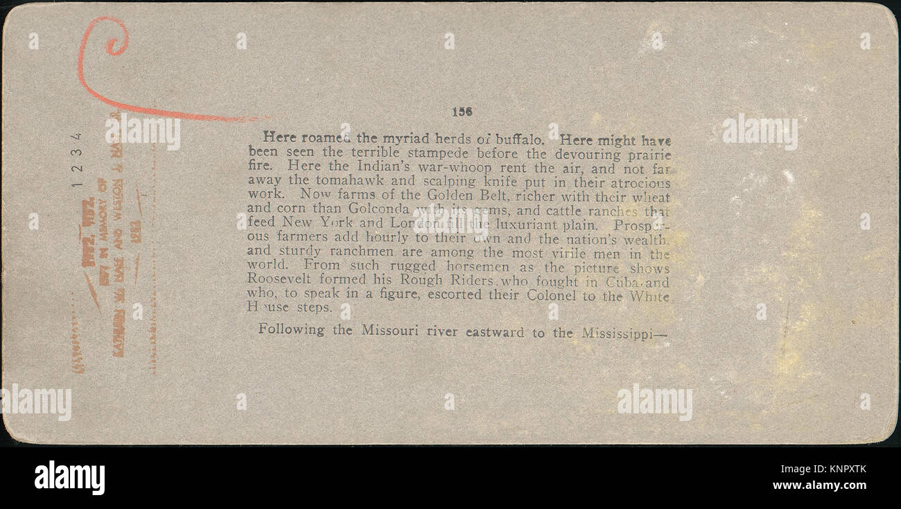 -Group of 11 Stereograph Views of Cowboys- MET DP73886 288308 Stock ...