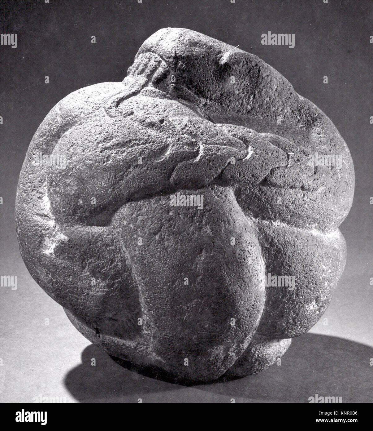 Illustration of a coiled serpent, showing its body structure, scales ...