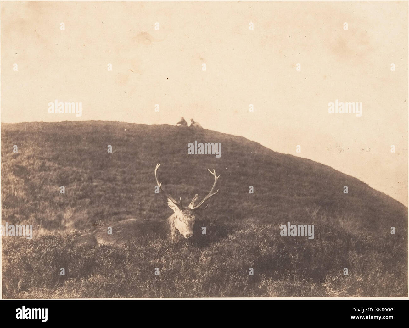 -Hunters Stalking a Deer- MET DP148526 288083 Stock Photo - Alamy