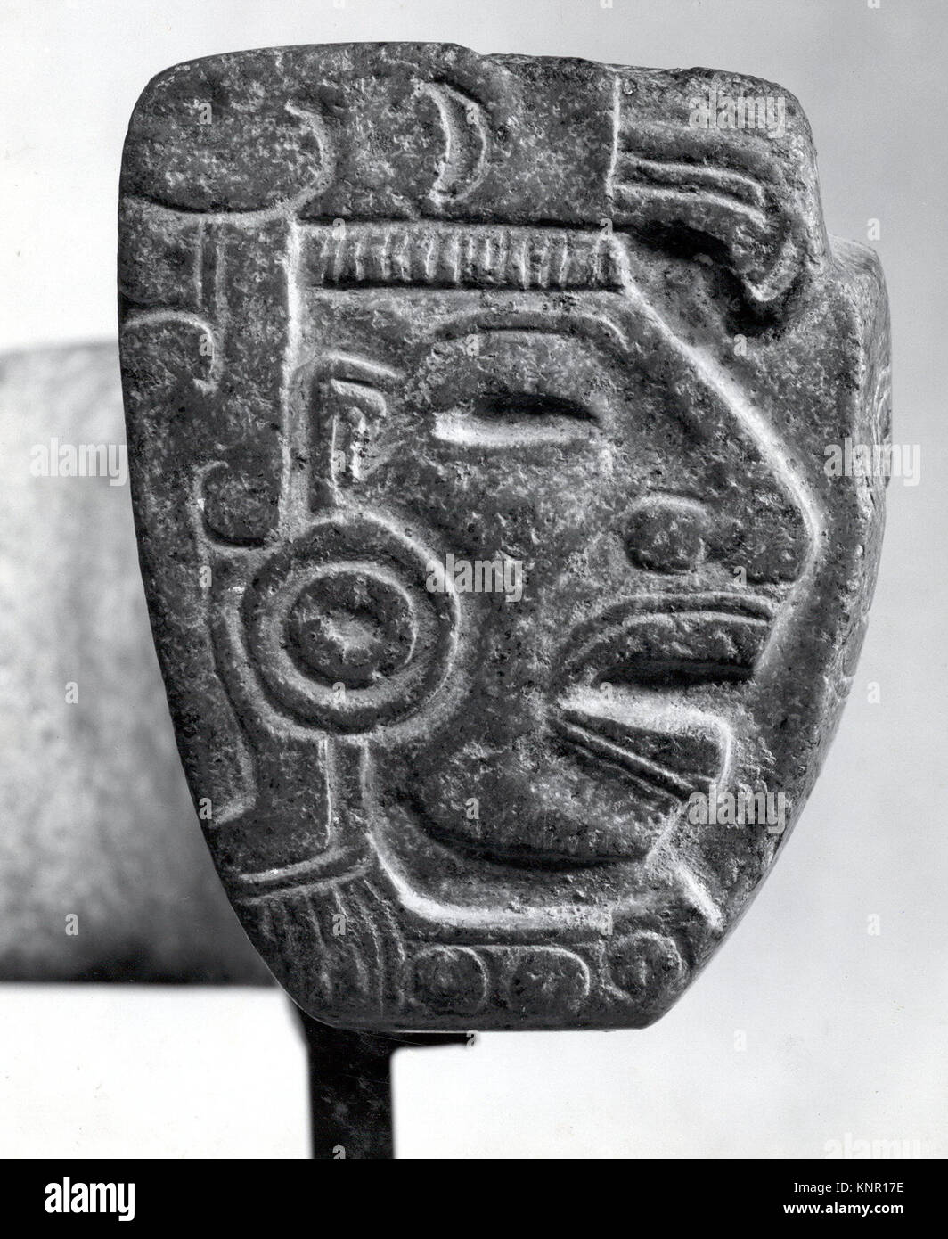 Frog Yoke High Resolution Stock Photography and Images - Alamy