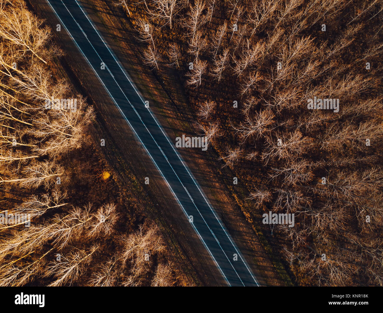 Aerial view of brand new asphalt road through deciduous autumn forest ...