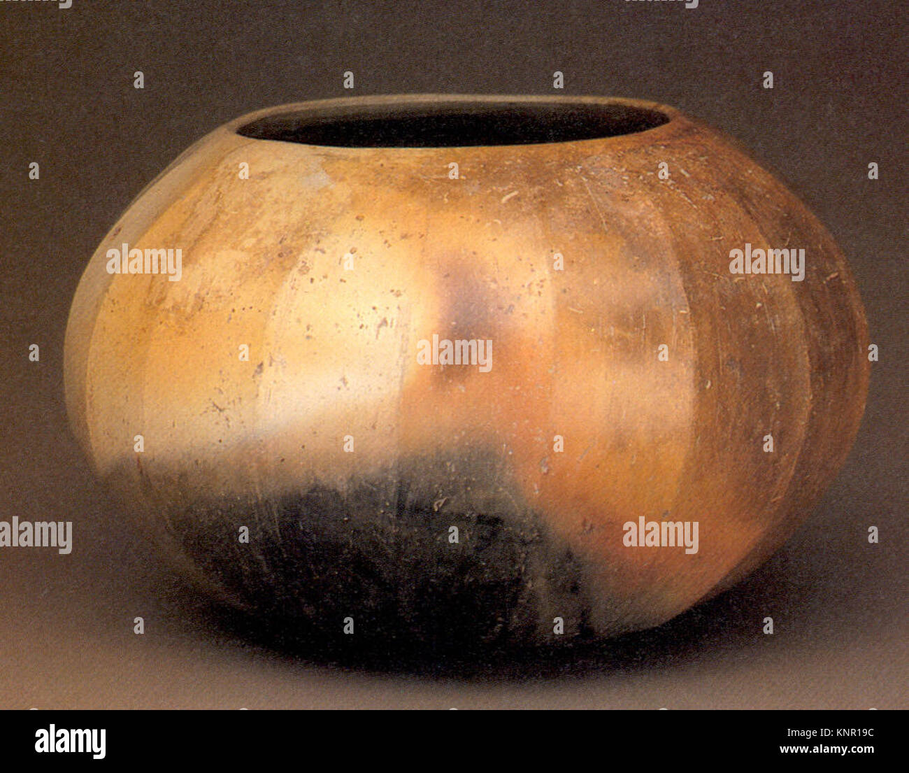 Tecomate hi-res stock photography and images - Alamy