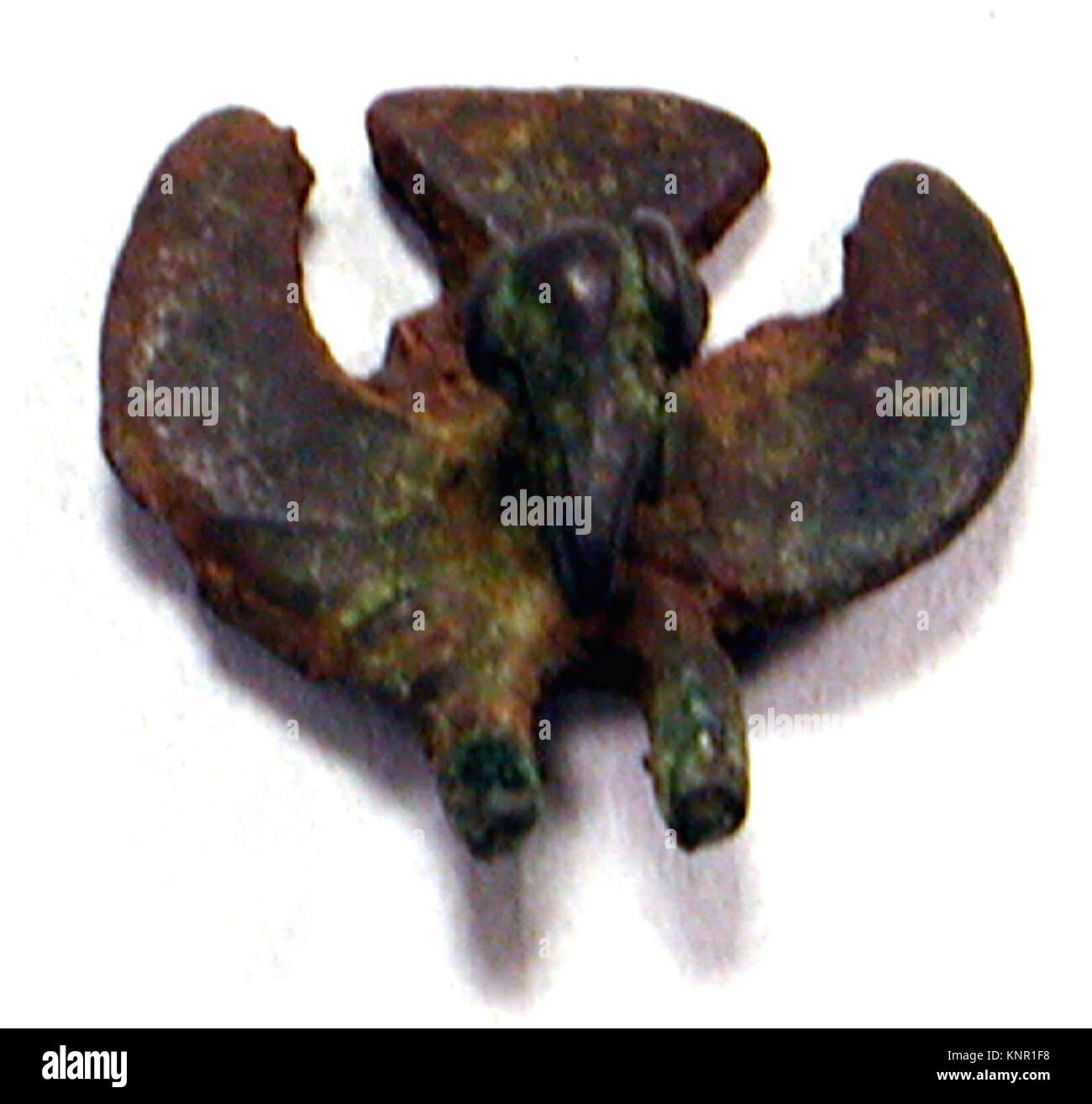 Copper bird hi-res stock photography and images - Alamy