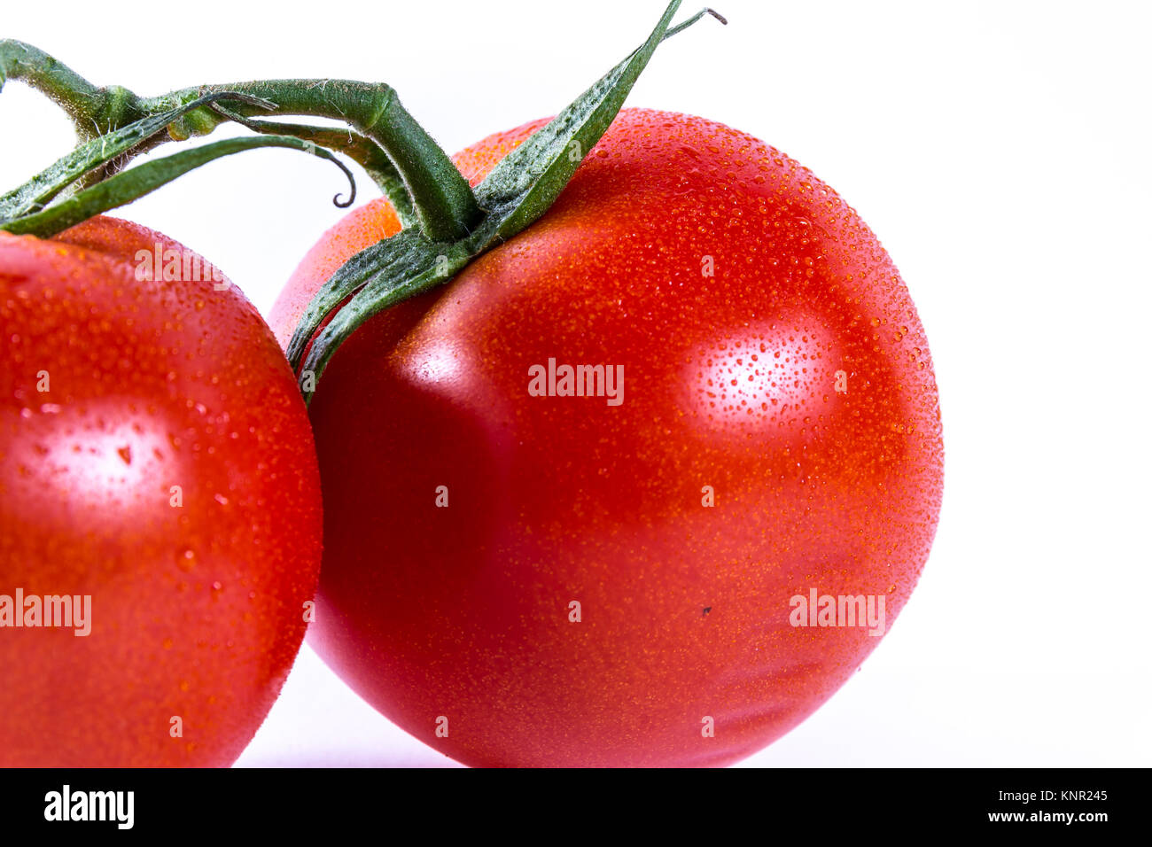 Couple Two Tomatoes Connected Stems Fresh Vegetables Cooking Ingredient ...