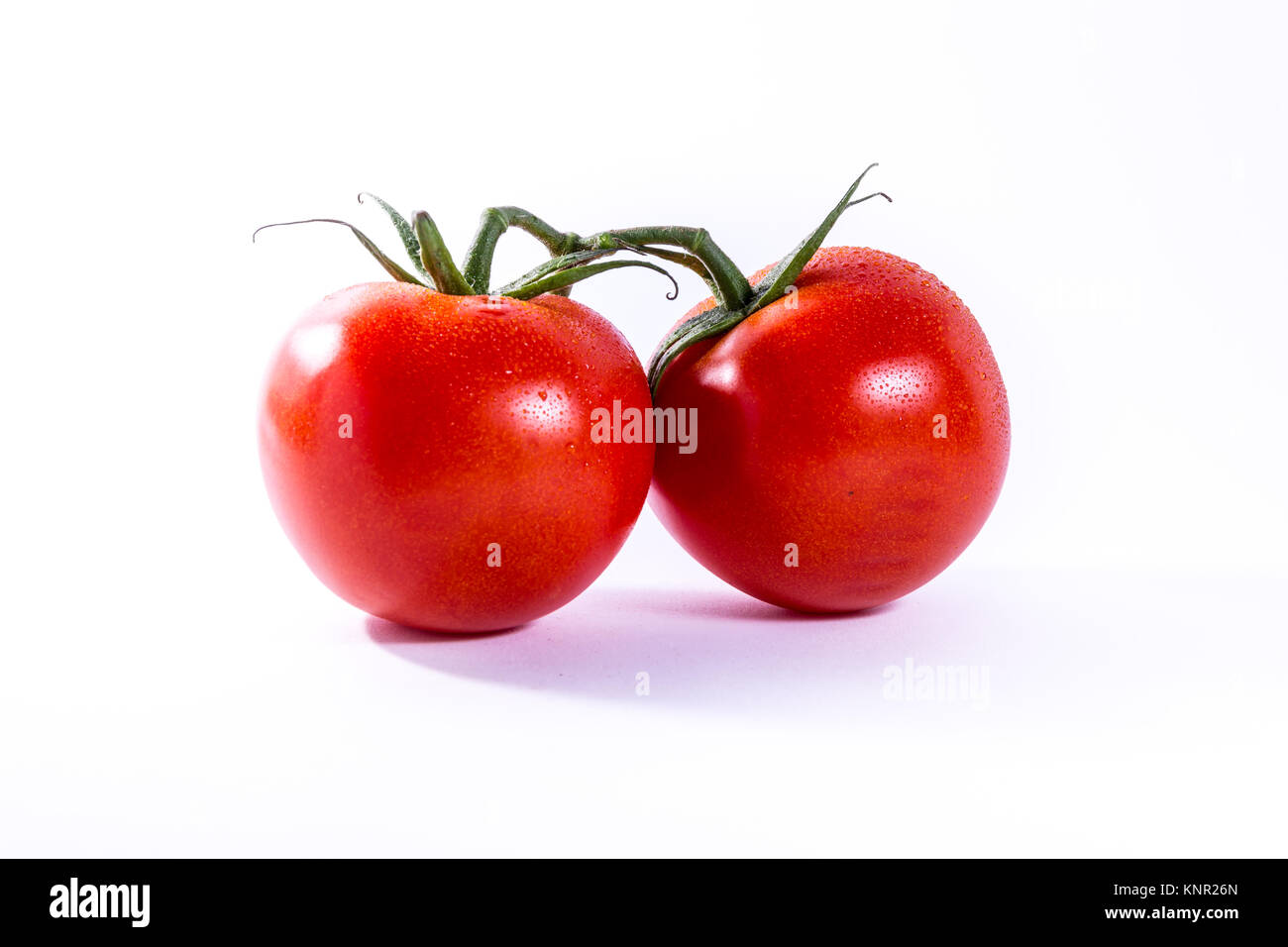 Couple Two Tomatoes Connected Stems Fresh Vegetables Cooking Ingredient ...