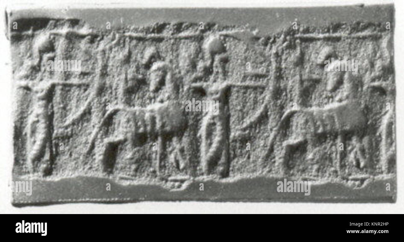 Cylinder seal MET ss56 81 35 324520 Stock Photo - Alamy