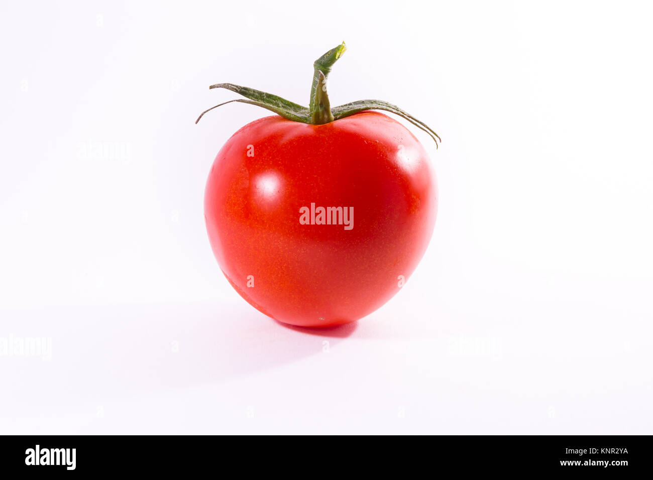 Single Tomato Vegetable Stem Cooking Fresh Ingredient Isolated White ...