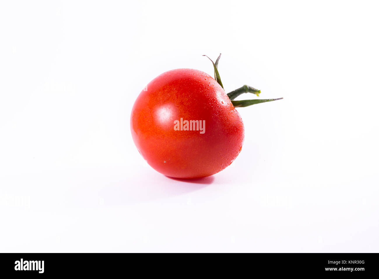 Single Tomato Vegetable Stem Cooking Fresh Ingredient Isolated White ...