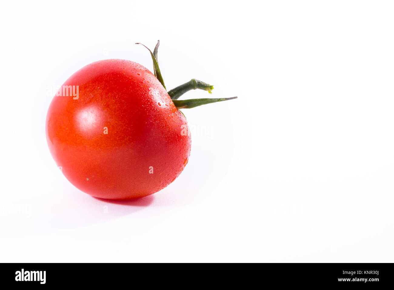 Single Tomato Vegetable Stem Cooking Fresh Ingredient Isolated White ...