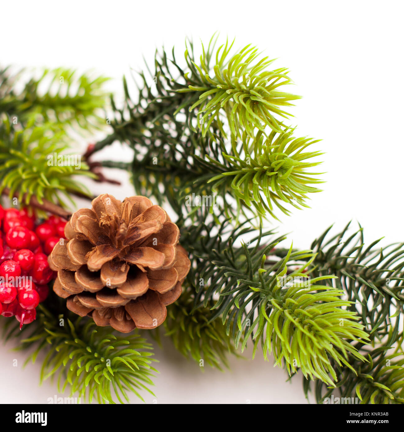 Christmas tree branches border over white. studio shot Stock Photo - Alamy