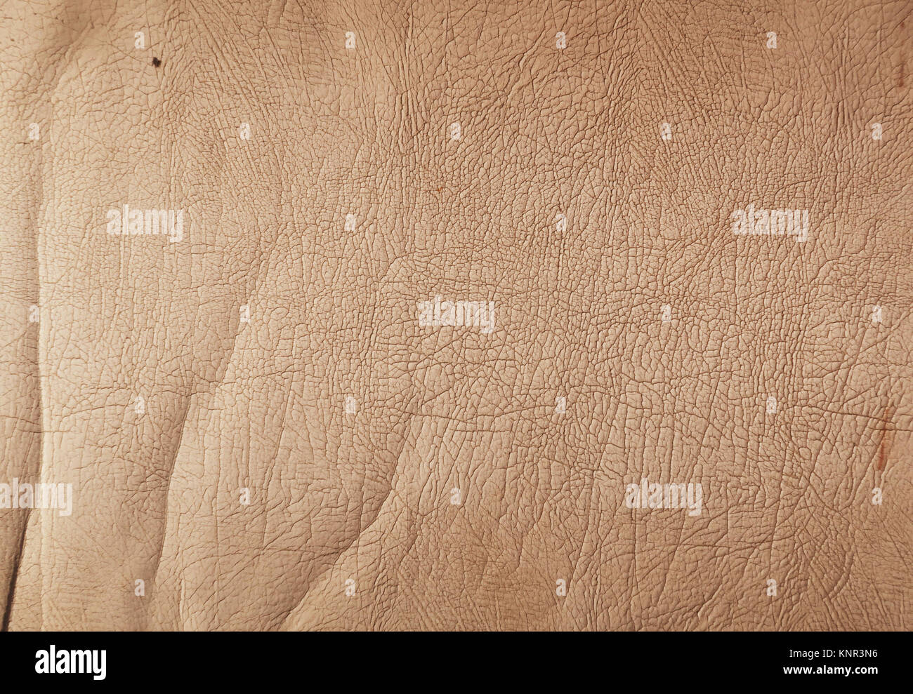 old leather texture Stock Photo - Alamy
