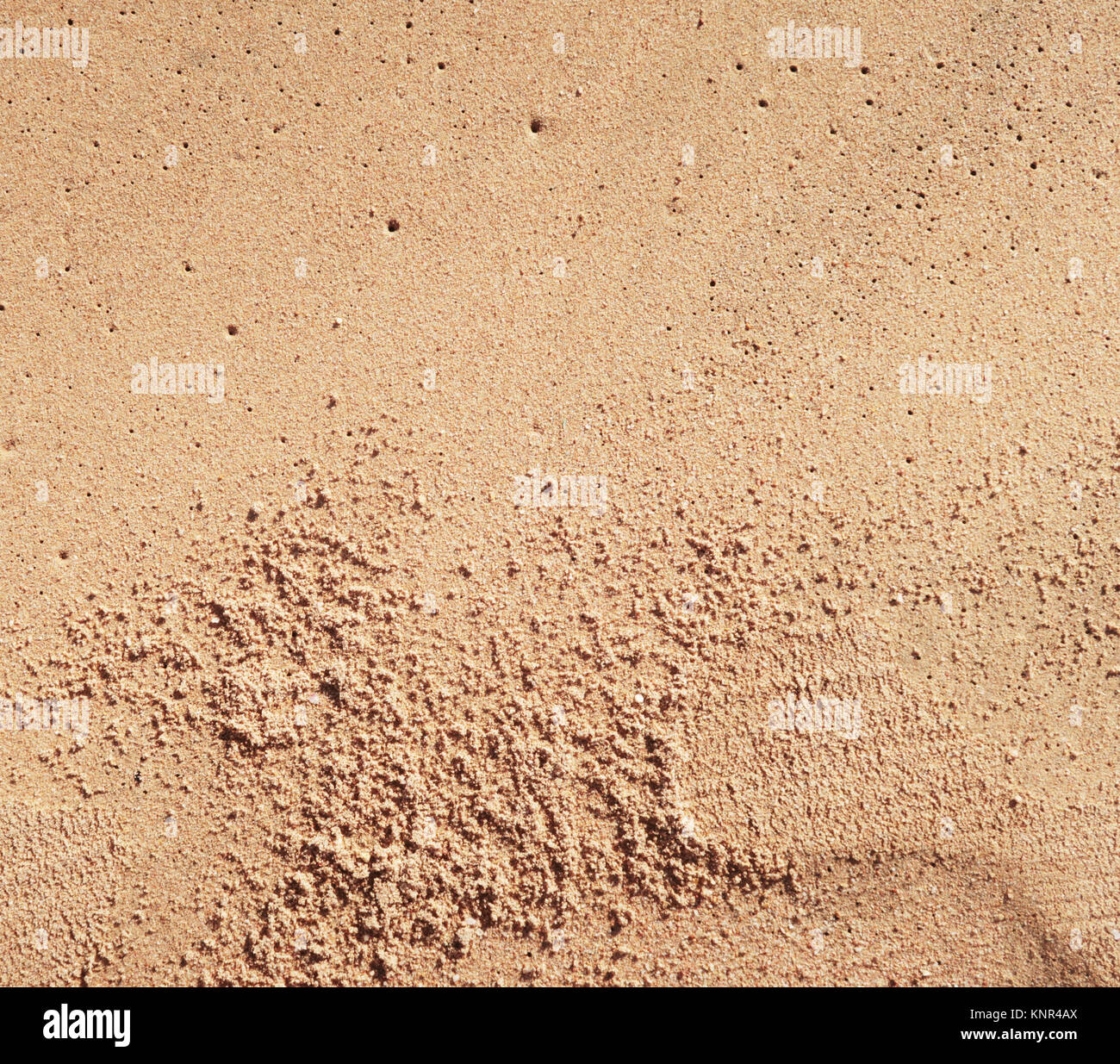 wet sand background Stock Photo - Alamy