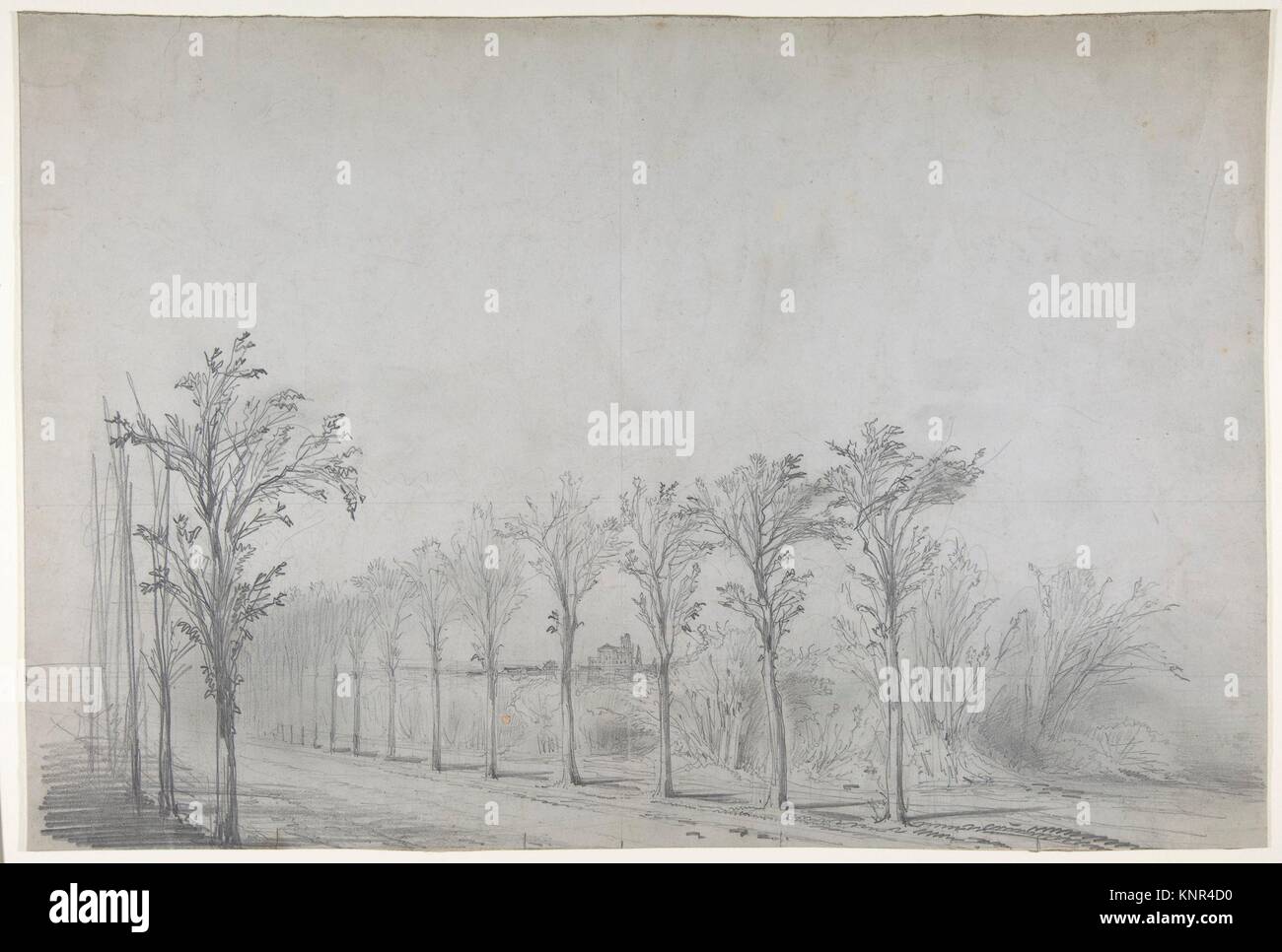 Tree line drawing hi-res stock photography and images - Alamy