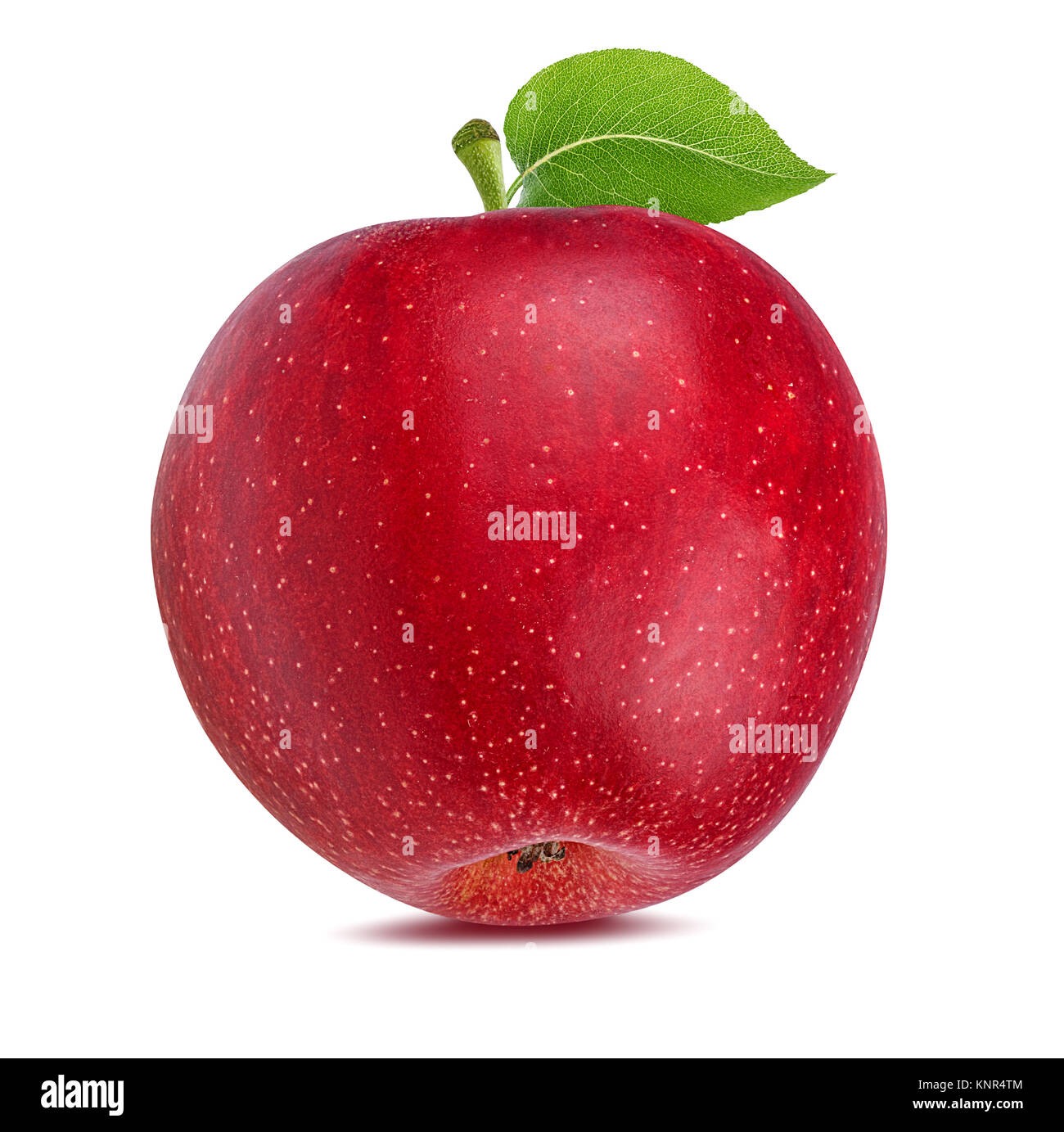 apple on a white background Stock Photo - Alamy