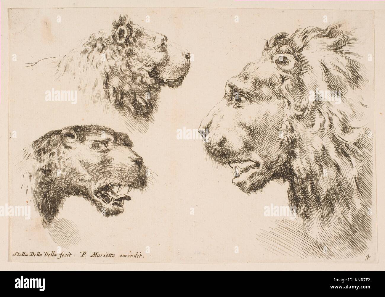 Three Lions Stock Photos & Three Lions Stock Images - Alamy