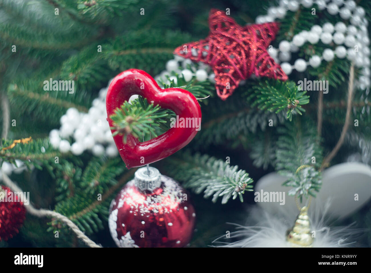 A red star, heart, ball and white pearl beads on a fir tree branches. A ...