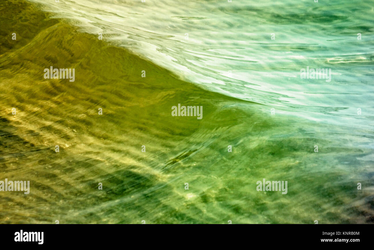 Shades of green and gold hi-res stock photography and images - Alamy