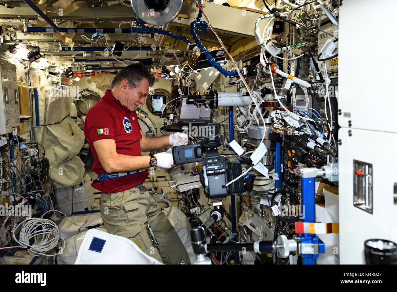 Expedition 53 Italian astronaut Paolo Nespoli works on a science ...