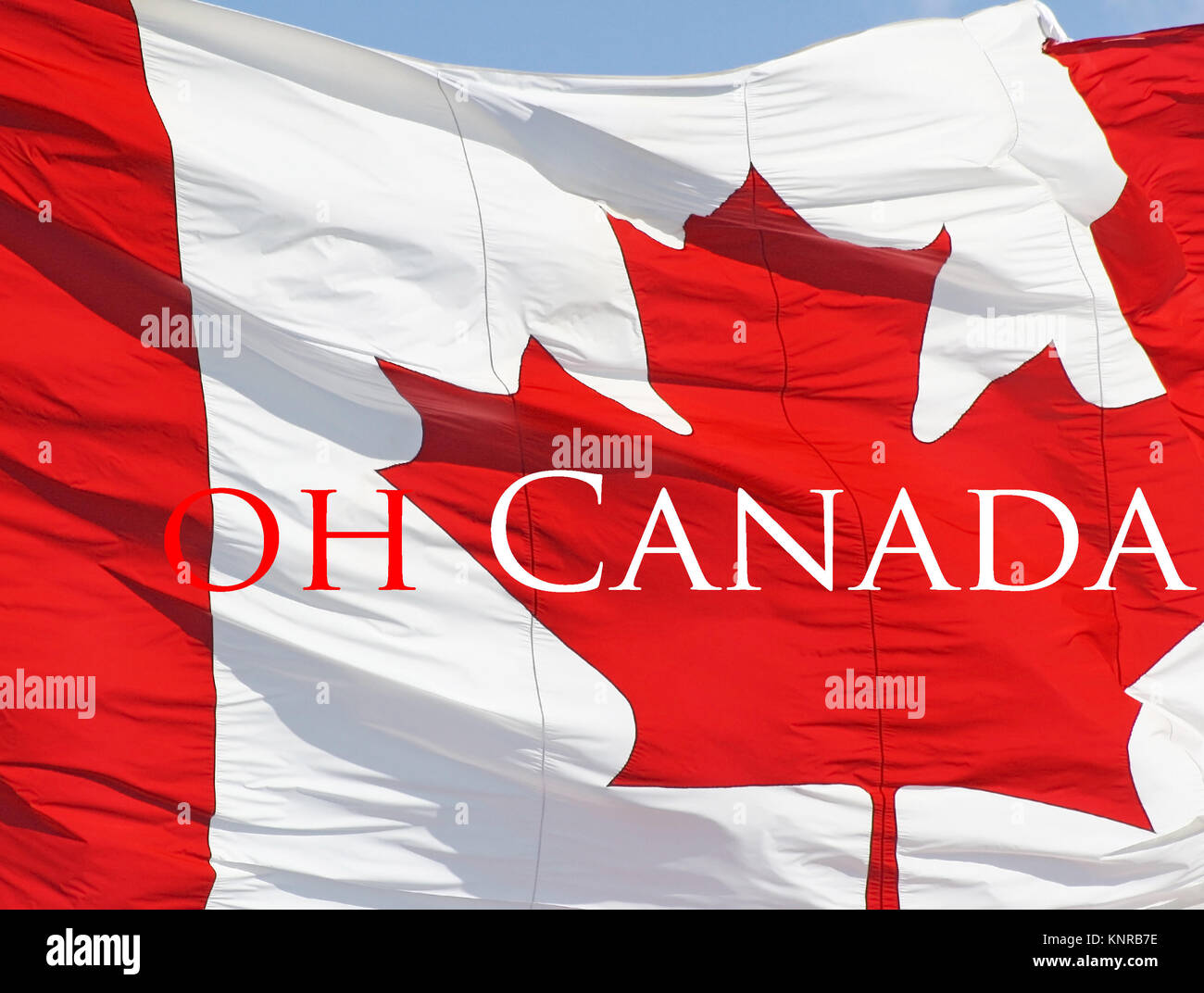 The red and white Canadian flag with the symbolic Maple Leaf Stock ...