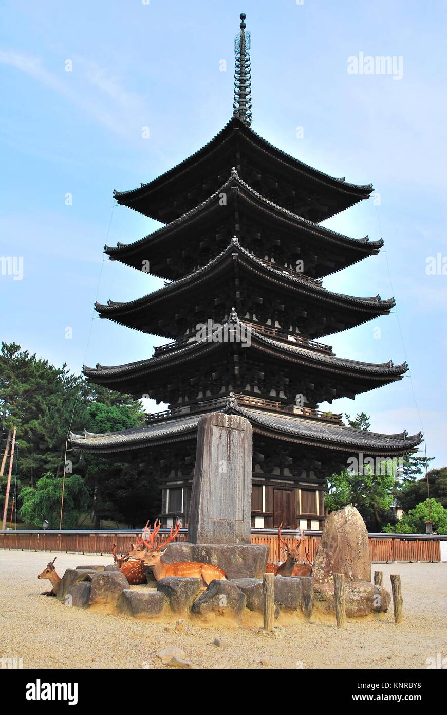 Religious animals hi-res stock photography and images - Alamy