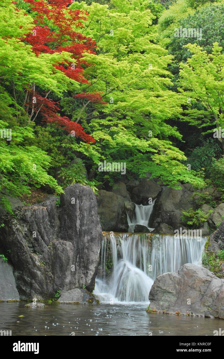 Low shot of majestic waterfall in a Japanese zen garden. Suitable for ...