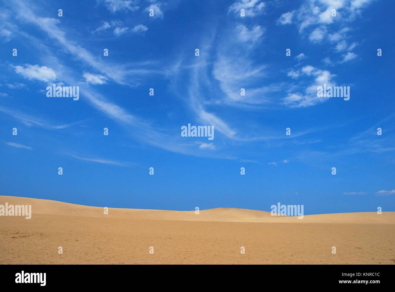Hot and dry desert with blue sky background. Suitable for concepts such ...