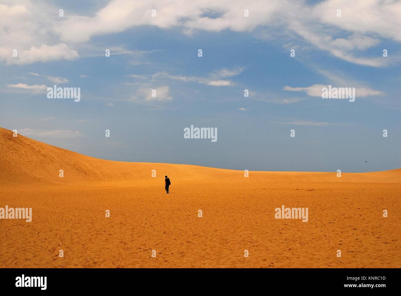 Stranded In A Desert