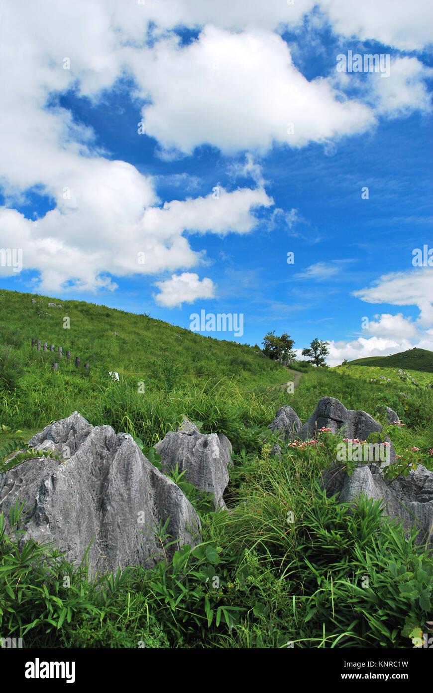 View of karst plateau against blue sky background. Suitable for ...