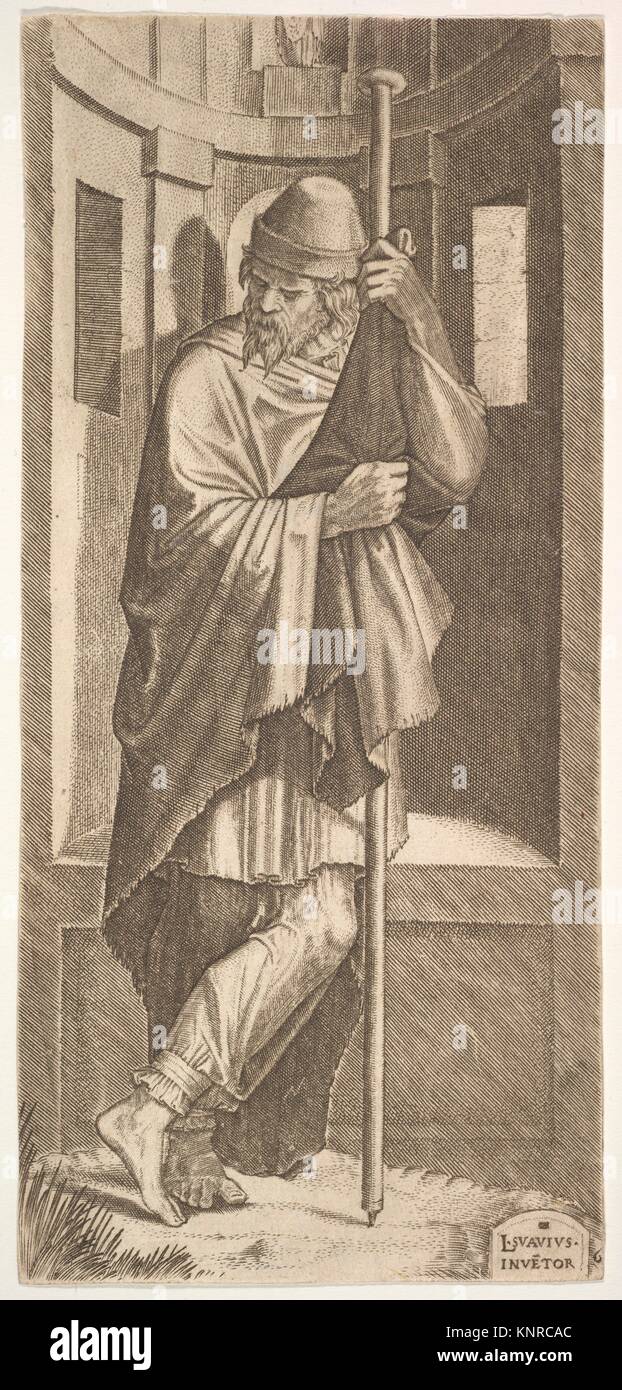 Phyllis major hi-res stock photography and images - Alamy