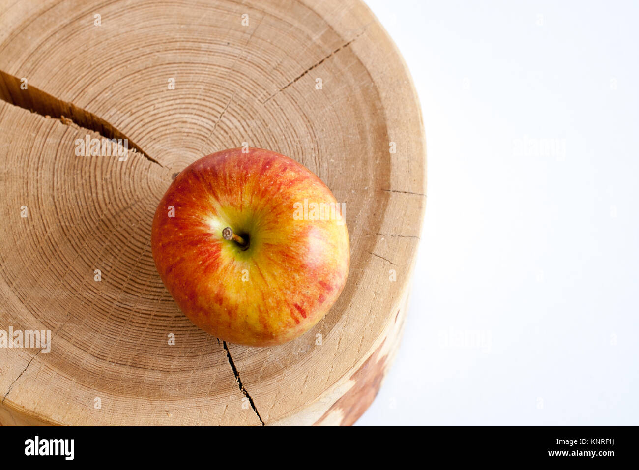 One yellow-red apple is lying on wooden stump and white background with ...
