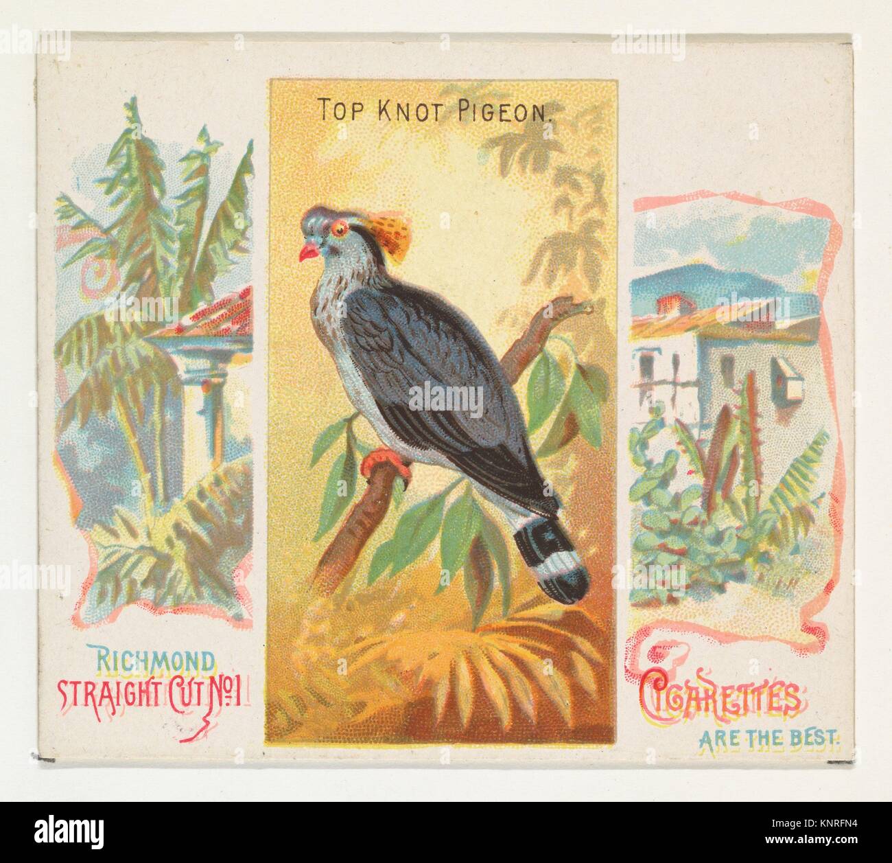 Top Knot Stock Photos & Top Knot Stock Images - Alamy