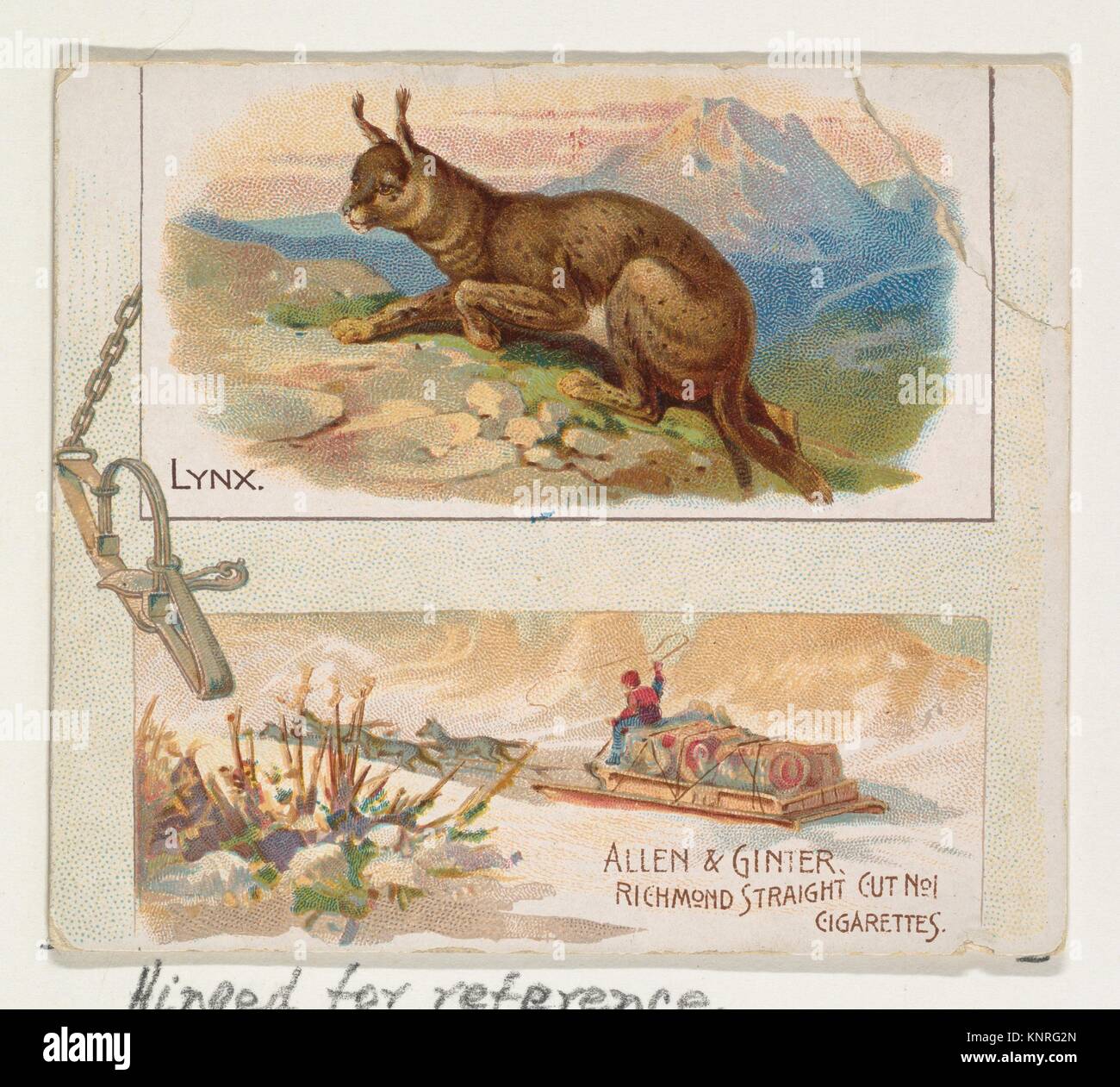 Lynx box hi-res stock photography and images - Alamy